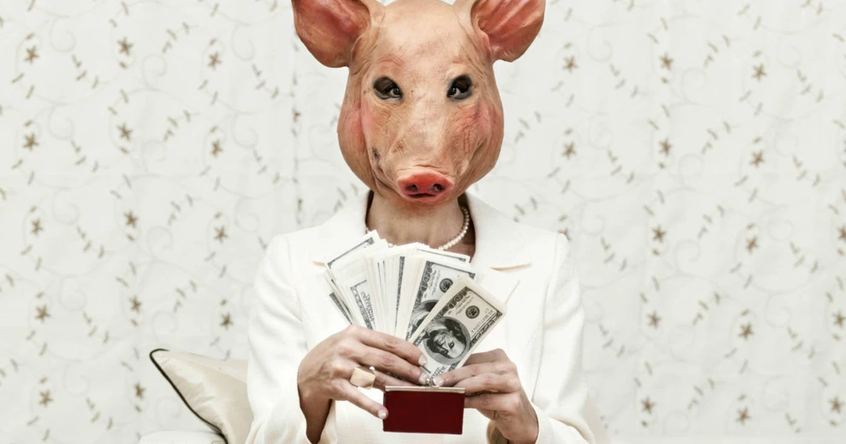 A Criação De Um Híbrido Entre Humano E Porco Em Laboratório